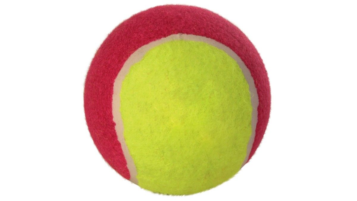 Jucarie Minge Tenis 10 cm 3476: 15,15 lei - PetMart PetShop