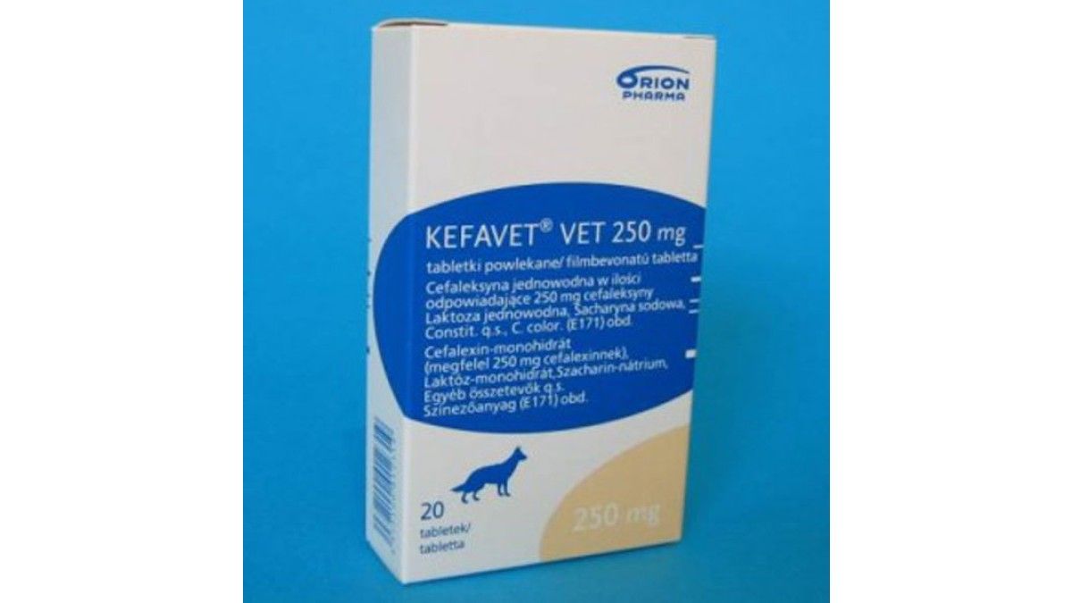 KEFAVET VET 250 mg x 20 cp: 54,79 lei - PetMart PetShop
