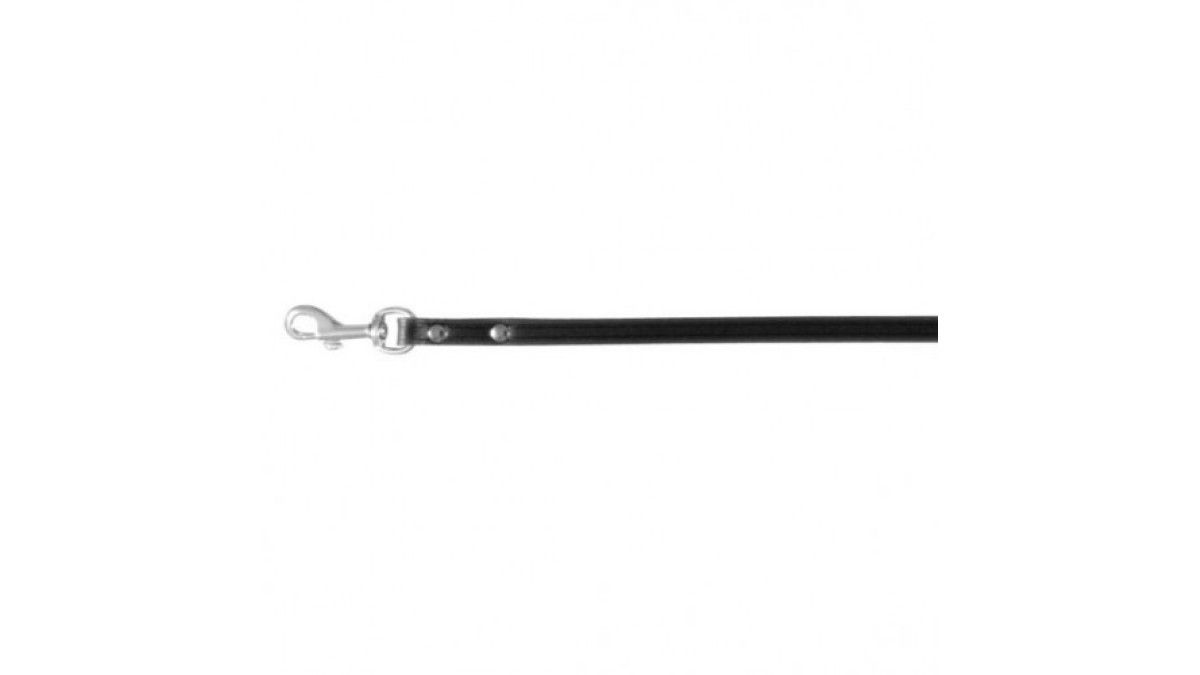 Lesa L2 Piele 1.2/110 cm: 13,33 lei - PetMart PetShop