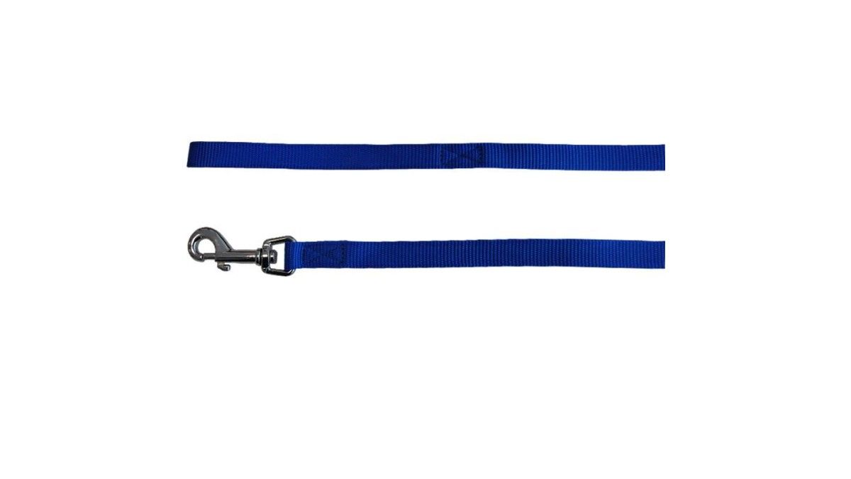Lesa Caini Nylon Blue 15 mm x 130 cm: 20,41 lei - PetMart PetShop
