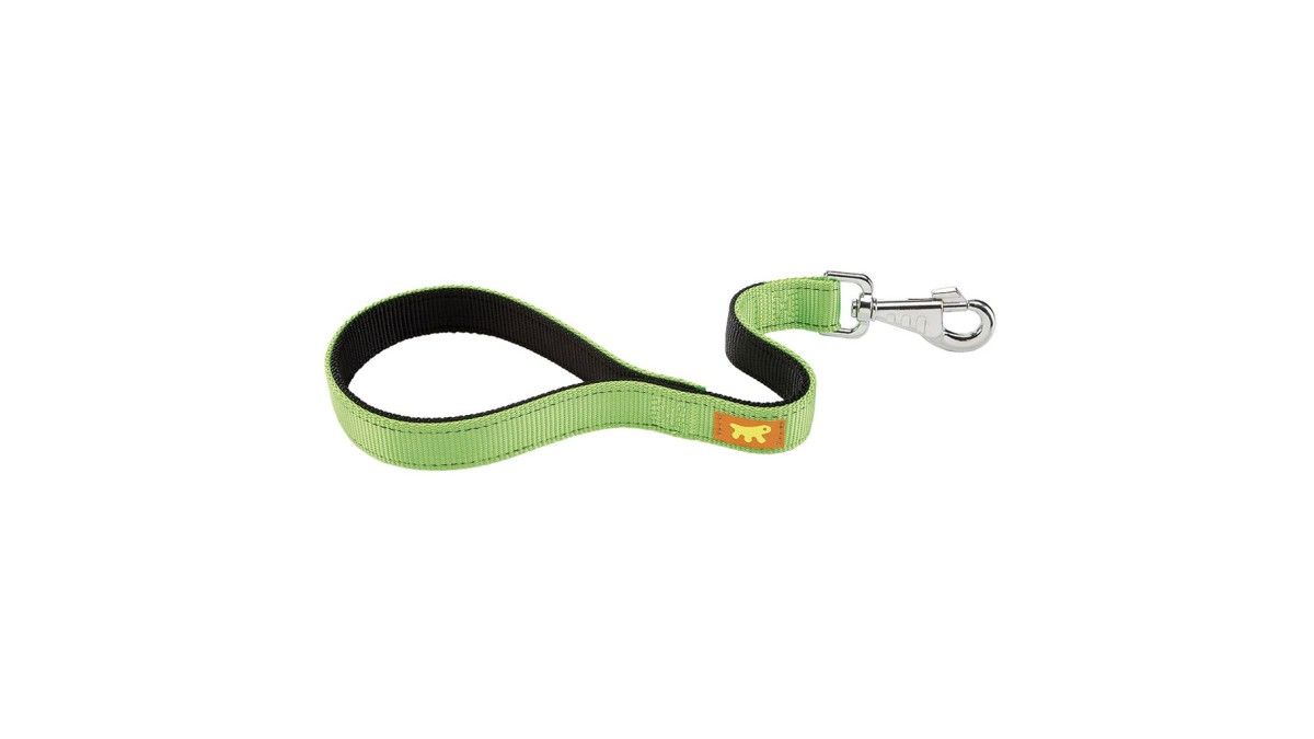 LESA DUAL GM25/45 VERDE: 46,16 lei - PetMart PetShop