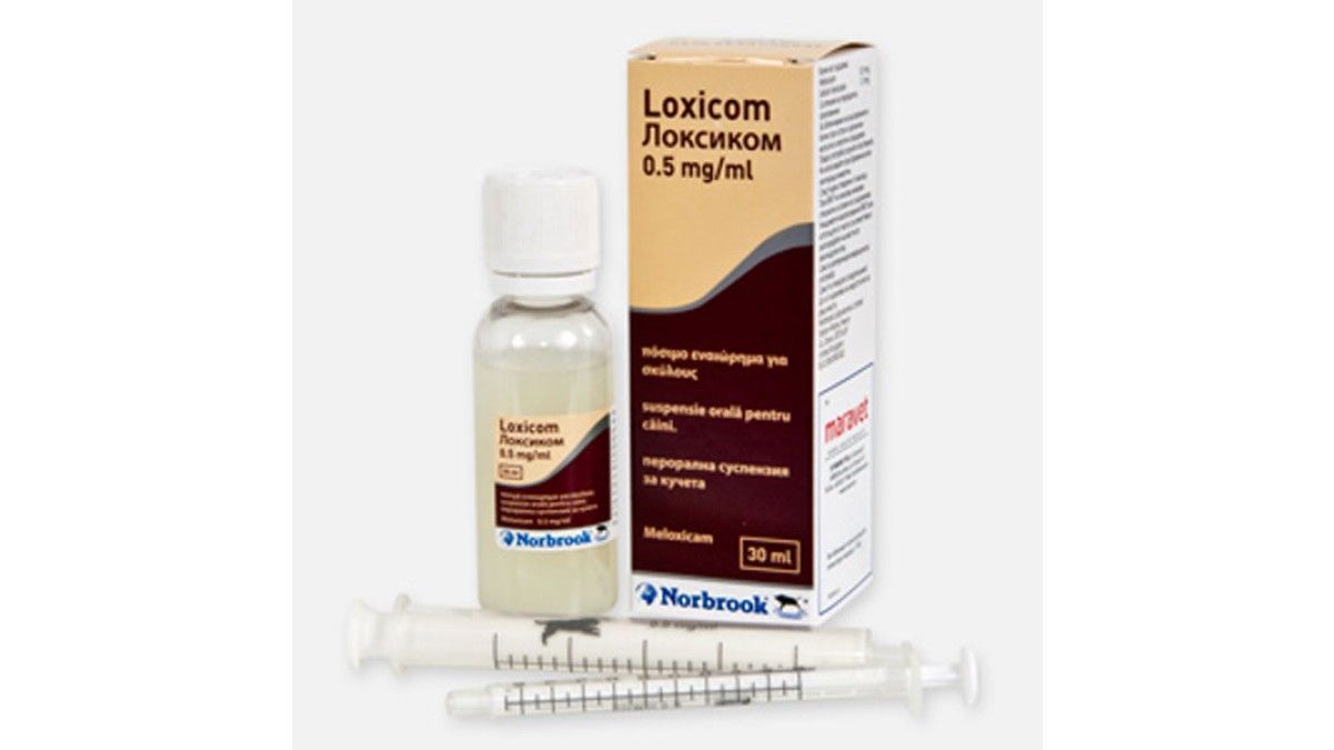 Loxicom 0.5mg x 30ml: 86,50 lei - PetMart PetShop