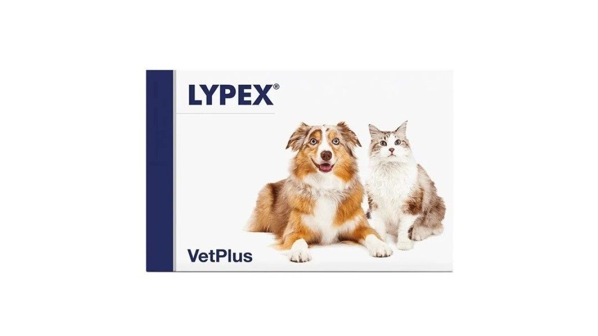 Lypex, 60 capsule: 470,14 lei - PetMart PetShop