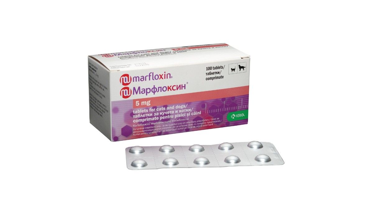 Marfloxin 5 mg, 10 tablete: 34,41 lei - PetMart PetShop