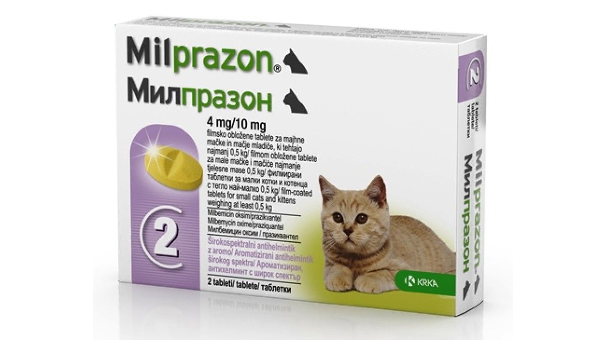 Milprazon Cat 4 / 10 mg