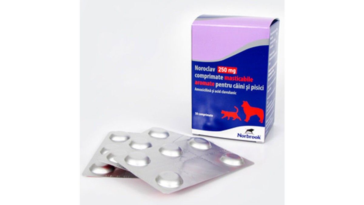 Noroclav 250 mg x 5 TABLETE MASTICABILE: 16,38 lei - PetMart PetShop