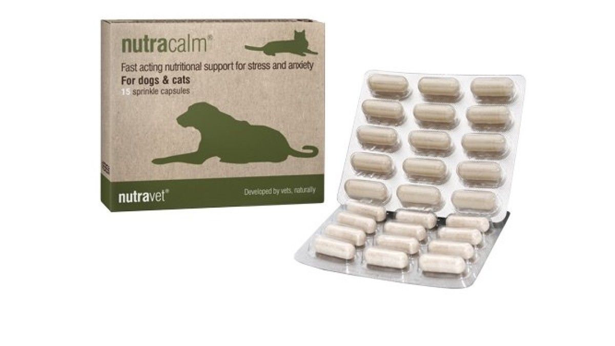 Nutravet Nutracalm, Caini & Pisici, 15 capsule: 81,48 lei - PetMart PetShop