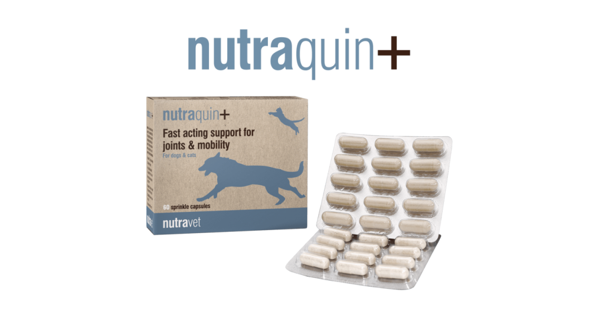 Nutravet Nutraquin+, Caini & Pisici, 60 capsule: 245,79 lei - PetMart ...