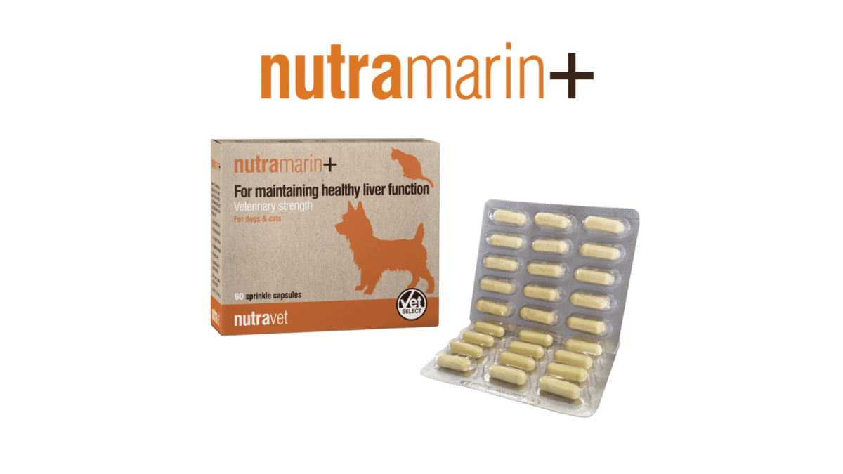 Nutravet Nutramarin+, 60 capsule: 259,19 lei - PetMart PetShop