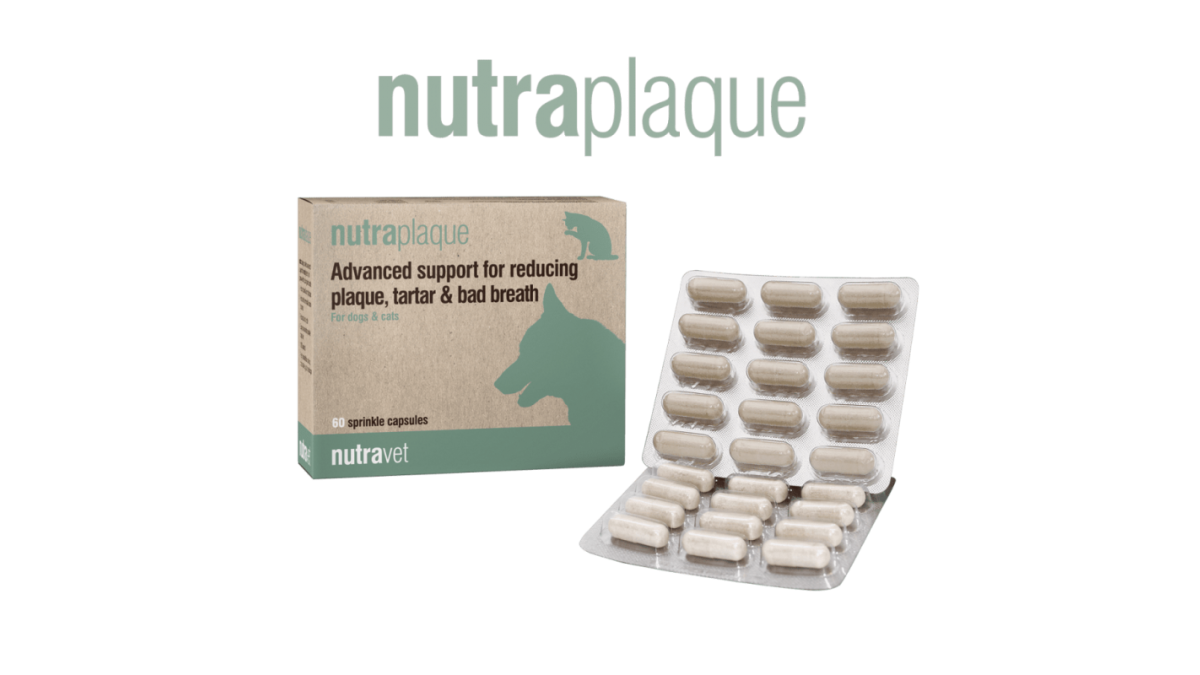 Nutravet NutraPlaque, Caini & Pisici, 45 capsule moi: 116,80 lei ...