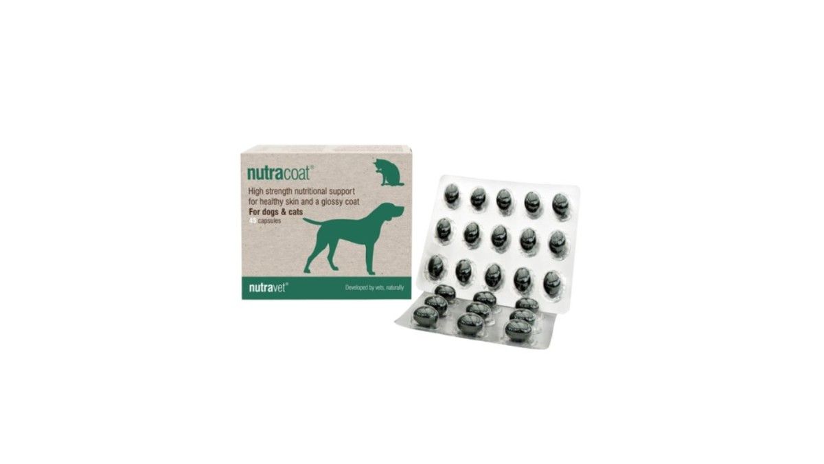Nutravet Nutracoat Caini & Pisici, 45 capsule: 102,41 lei - PetMart PetShop