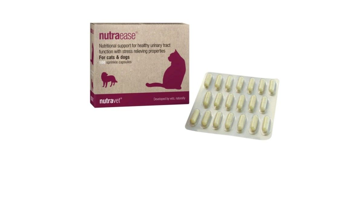 Nutravet Nutraease Caini & Pisici, 100 capsule: 222,31 lei - PetMart ...