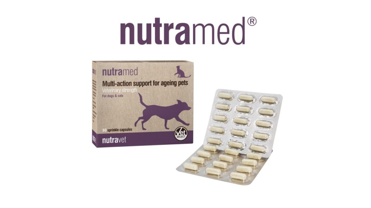 Nutravet Nutramed Caini & Pisici, 60 capsule: 196,95 lei - PetMart PetShop
