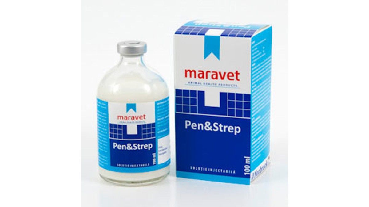 Pen Strep 100 ml: 55,10 lei - PetMart PetShop