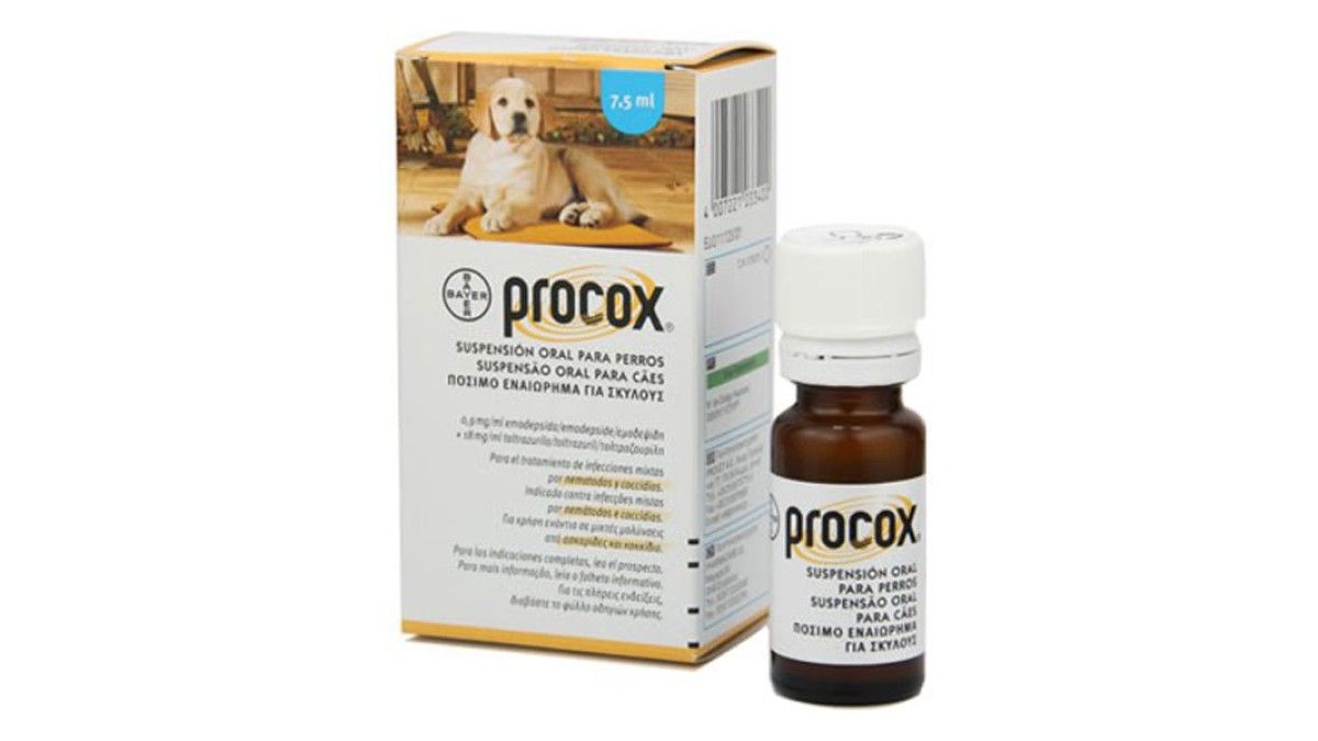Procox Suspensie Orala, 7.5 ml: 84,99 lei - PetMart PetShop