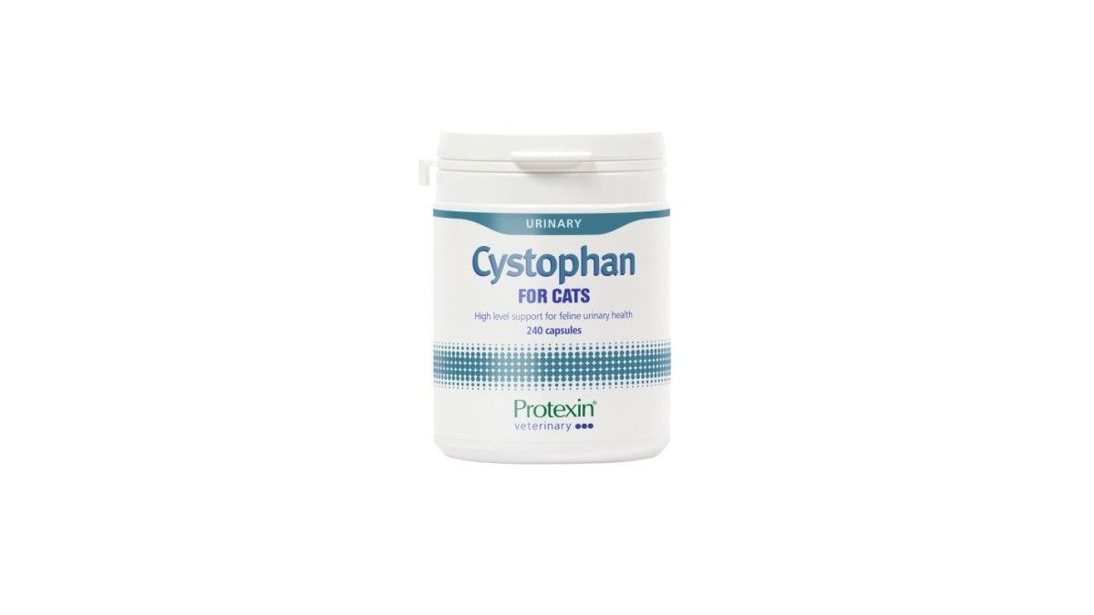 Cystophan for Cats, 240 capsule: 363,15 lei - PetMart PetShop