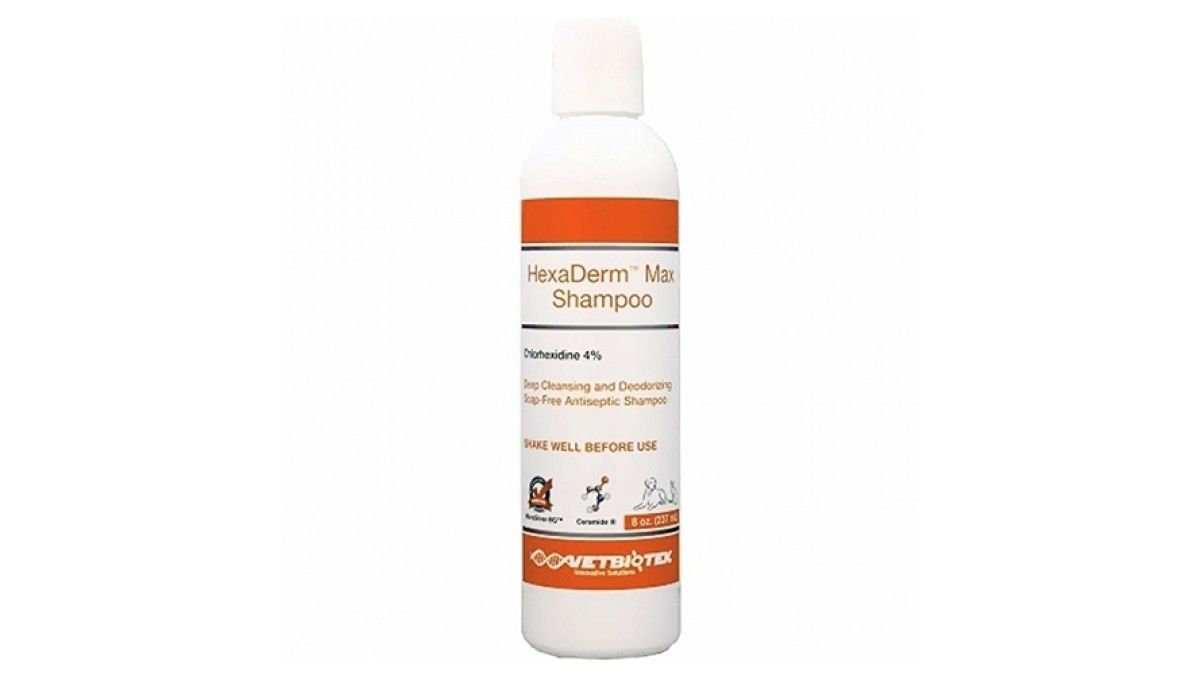 Sampon Antiseptic Clorhexidina 4%, Hexaderm Max, Vetbiotek, 237 ml: 96 ...