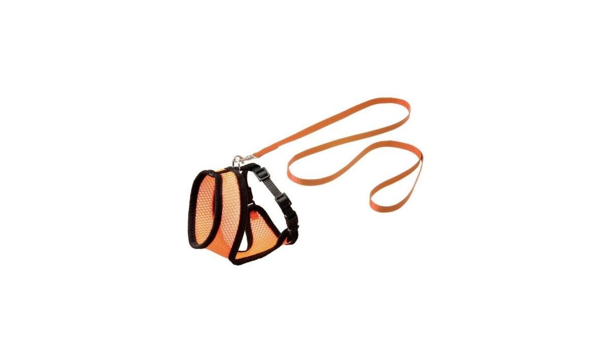 Set Ham+Lesa Pentru Pisica, Flamingo, Orange/Black 110cmx10mm: 31,40 ...
