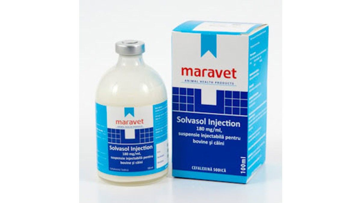 Solvasol INJ 100 ml: 159,76 lei - PetMart PetShop