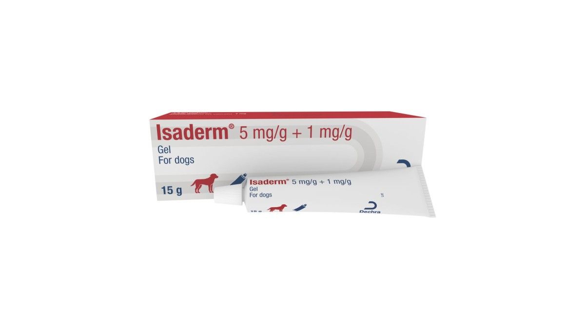 Tratament Dermatita Caini Isaderm Gel, 5 mg/ g + 1 mg/ g: 53,90 lei ...