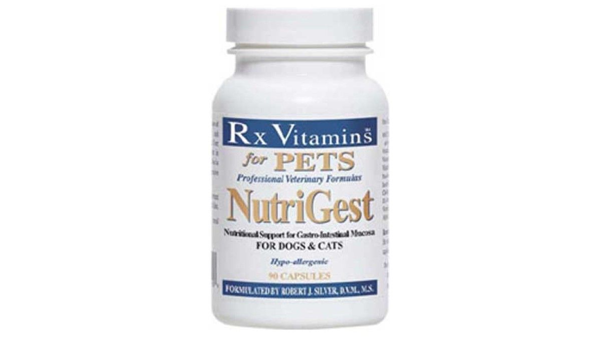 RX NutriGest 90 capsule: 205,28 lei - PetMart PetShop