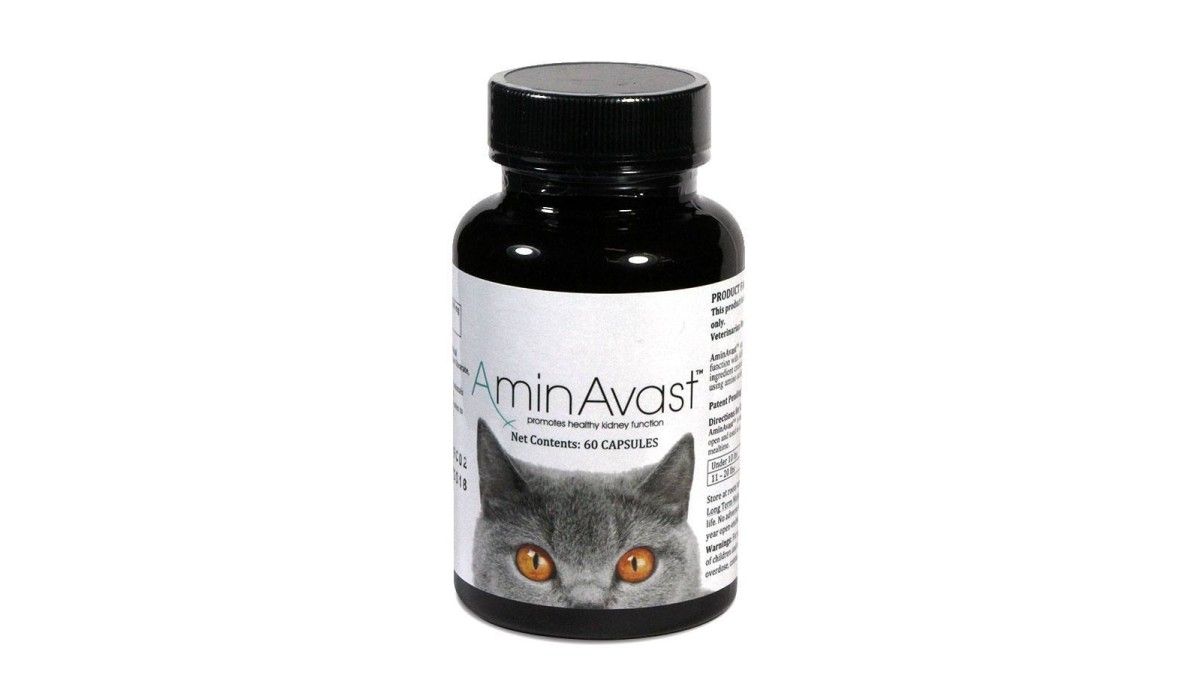 Aminavast Cat, 300 mg/ 60 capsule: 318,93 lei - PetMart PetShop