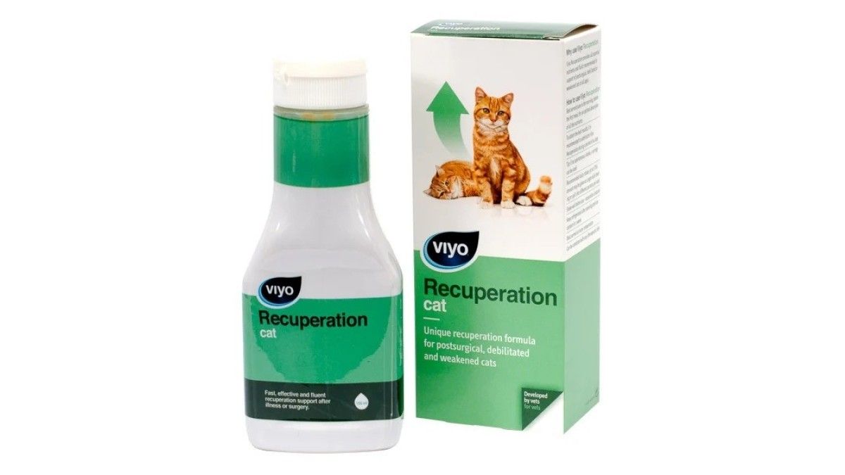 Viyo Recuperation Cat, 150 ml: 84,89 lei - PetMart PetShop