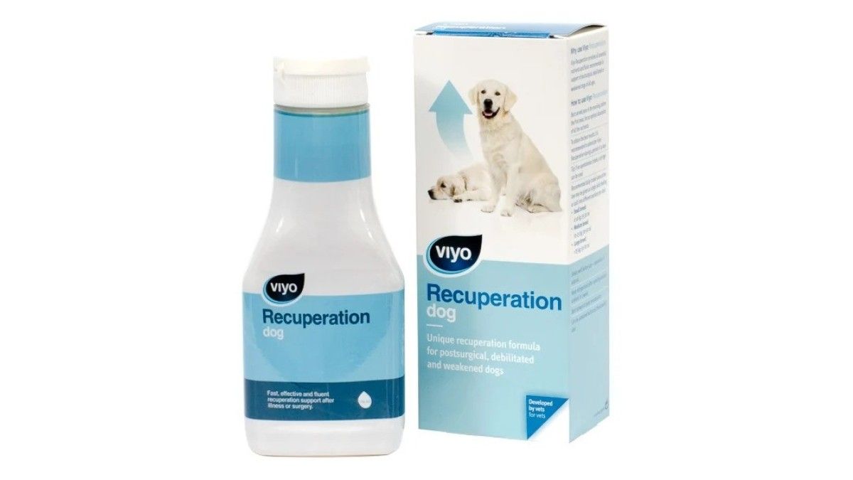 Viyo Recuperation Dog, 150 ml: 84,89 lei - PetMart PetShop