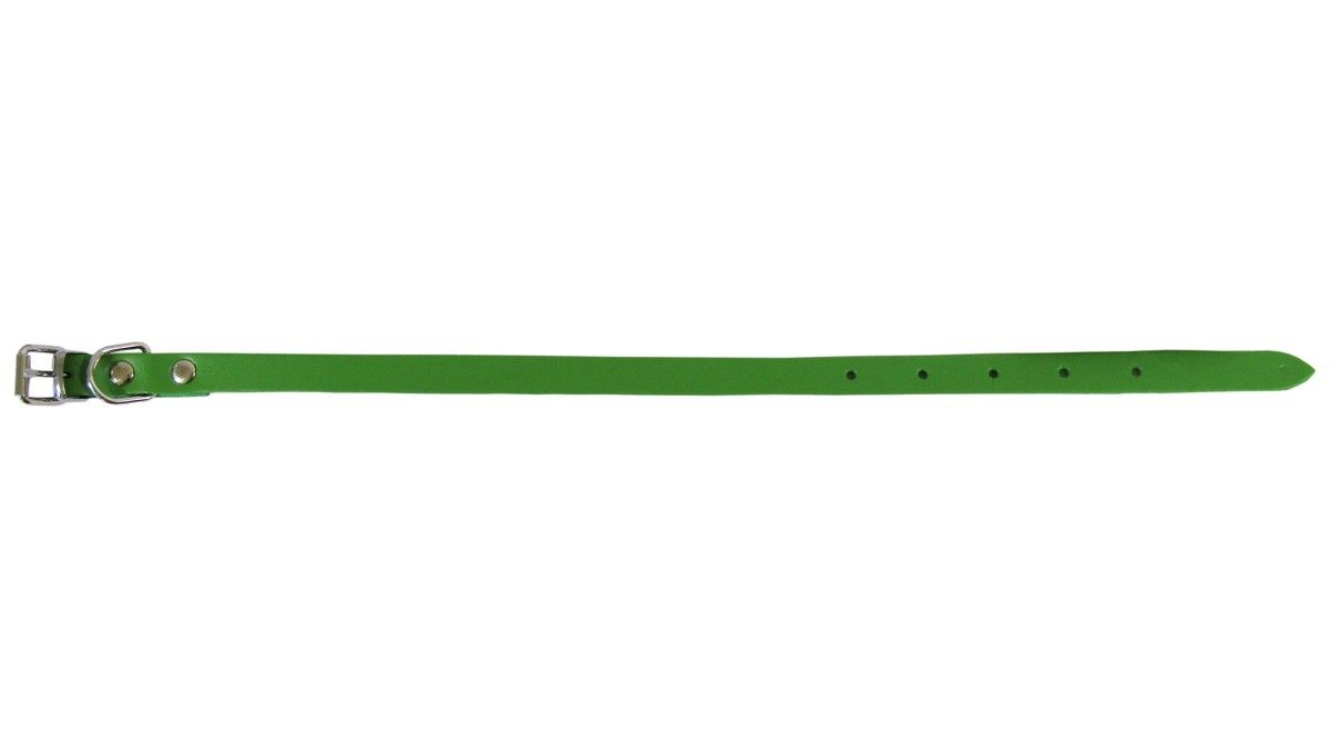 Zgarda L0 1.2/37 cm - Simplu - Verde: 4,53 lei - PetMart PetShop