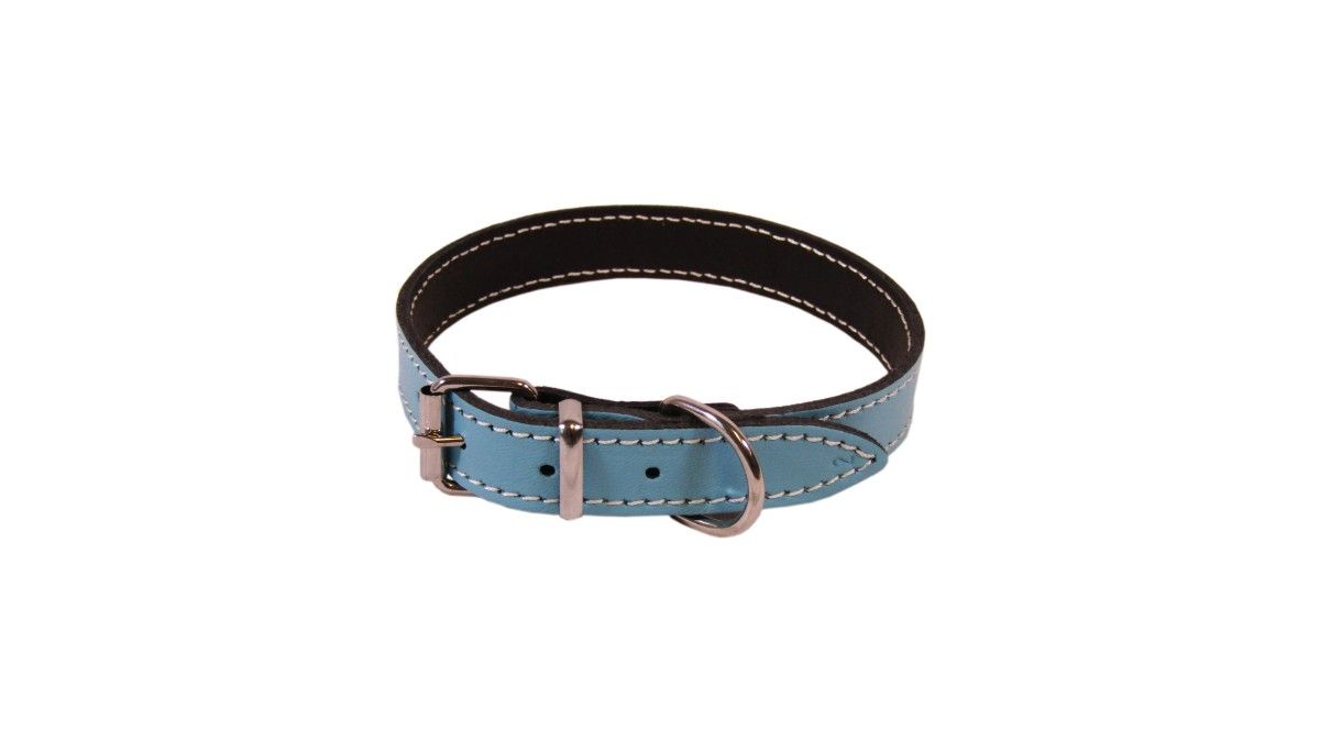 Zgarda L2 2.0/45 cm - Simplu - Albastru: 8,32 lei - PetMart PetShop