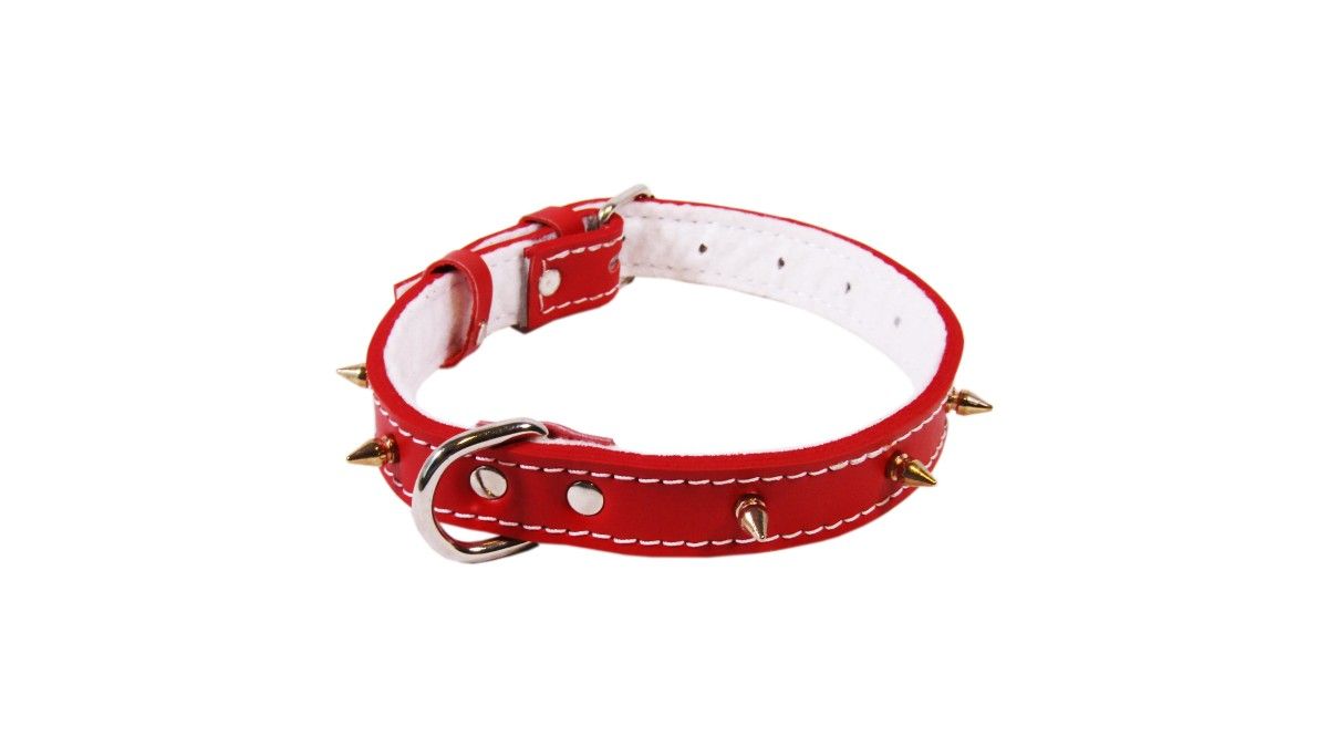 Zgarda Piele Cu Colti Tip 22 mm/50 cm - Rosu: 28,84 lei - PetMart PetShop