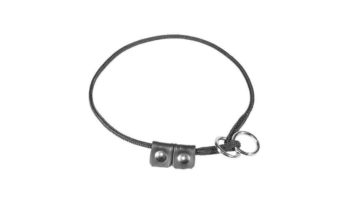 Zgarda strangulanta cu stop, 3.5 mm/ 70 cm: 21,24 lei - PetMart PetShop