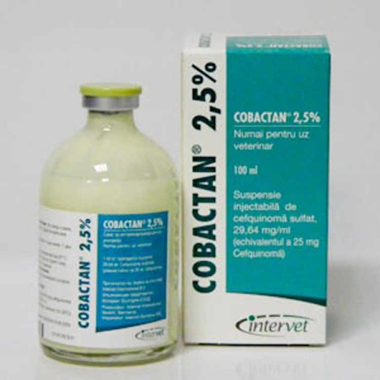 Cobactan 2,5% 100 ml: 224,15 lei - PetMart PetShop