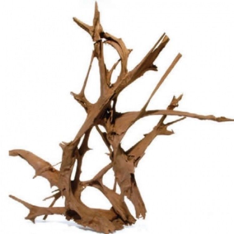 Radacina Mangrove, XXL pana la 130 cm: 910,31 lei - PetMart PetShop