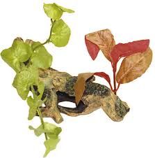 Decor Radacina Cu Plante Small: 29,05 lei - PetMart PetShop