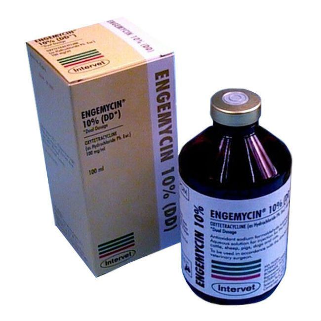 Engemycin 10% 100 ml: 60,09 lei - PetMart PetShop