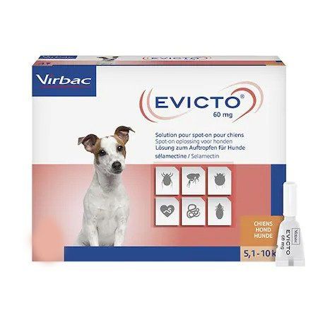 Evicto 60 mg pipete antiparazitare câini talie mica (5.1 - 10.0 kg) 4 ...
