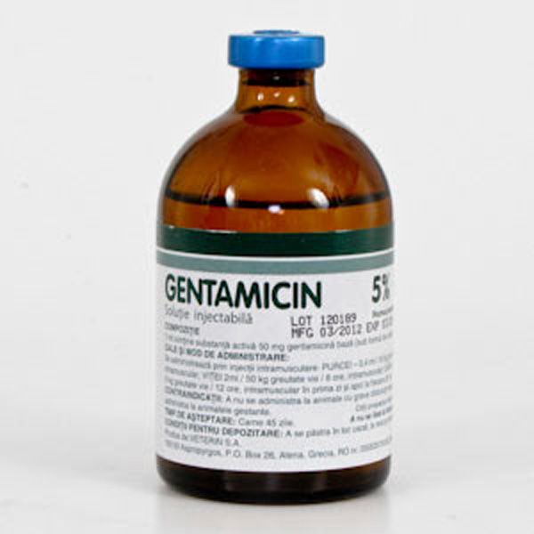 Gentamicin INJ 50 ml: 21,88 RON - PetMart PetShop