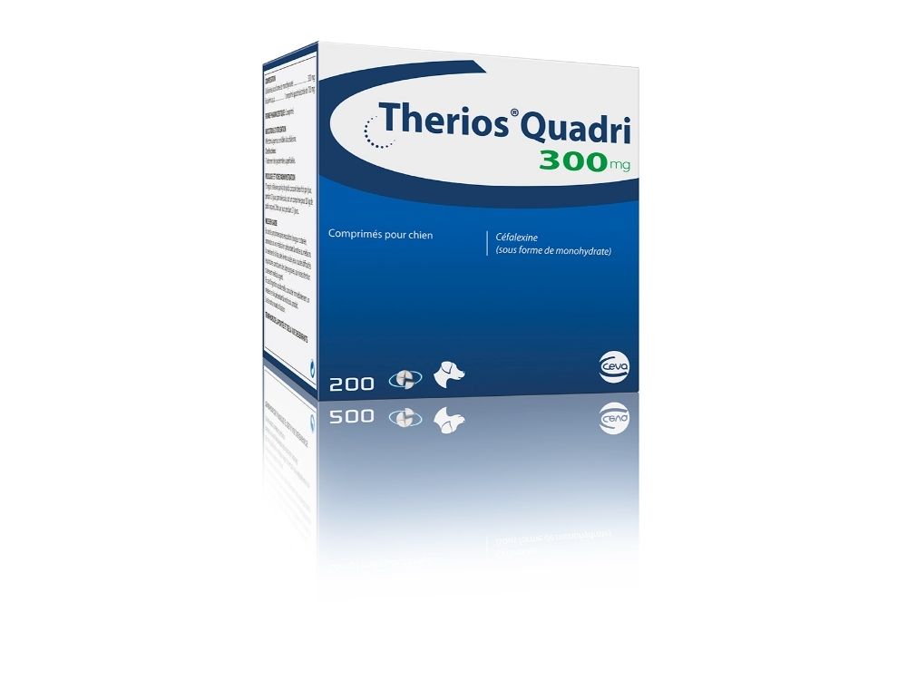 Therios Quadri 300 mg, 10 comprimate masticabile: 31,64 lei - PetMart ...