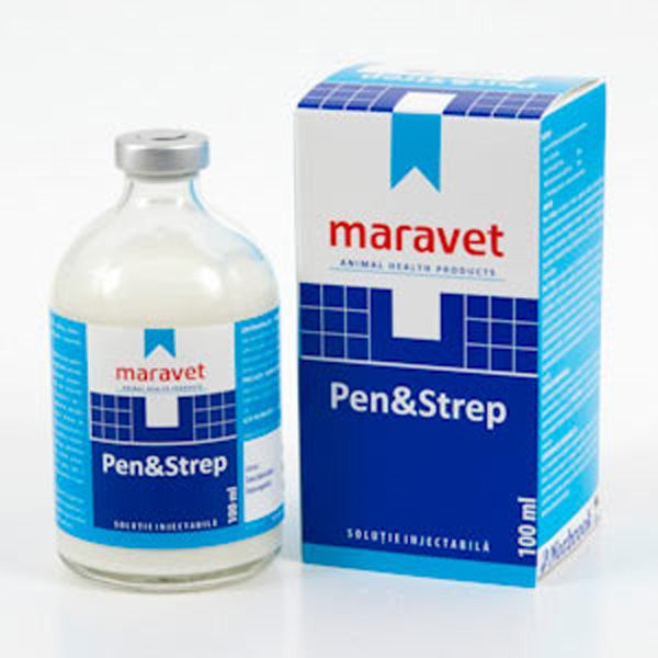 Pen Strep 100 ml: 55,10 lei - PetMart PetShop