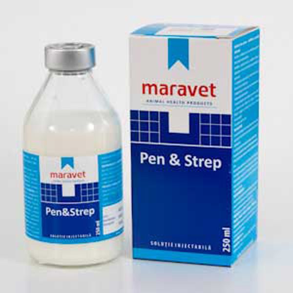 Pen Strep 250 ml: 121,38 lei - PetMart PetShop