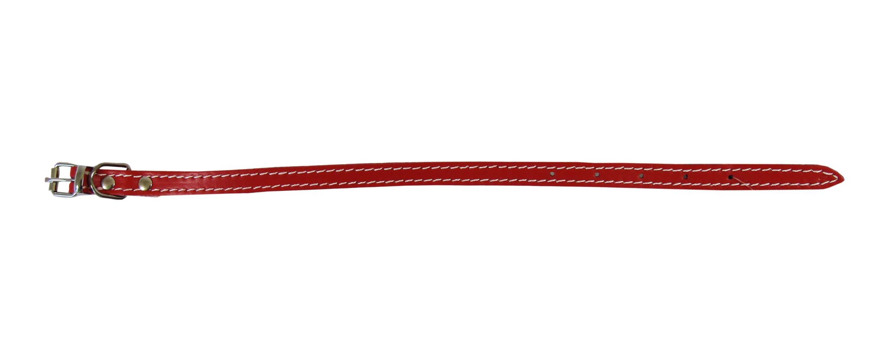 Zgarda L0 1.2/37 cm - Pasla Rosu: 5,48 lei - PetMart PetShop